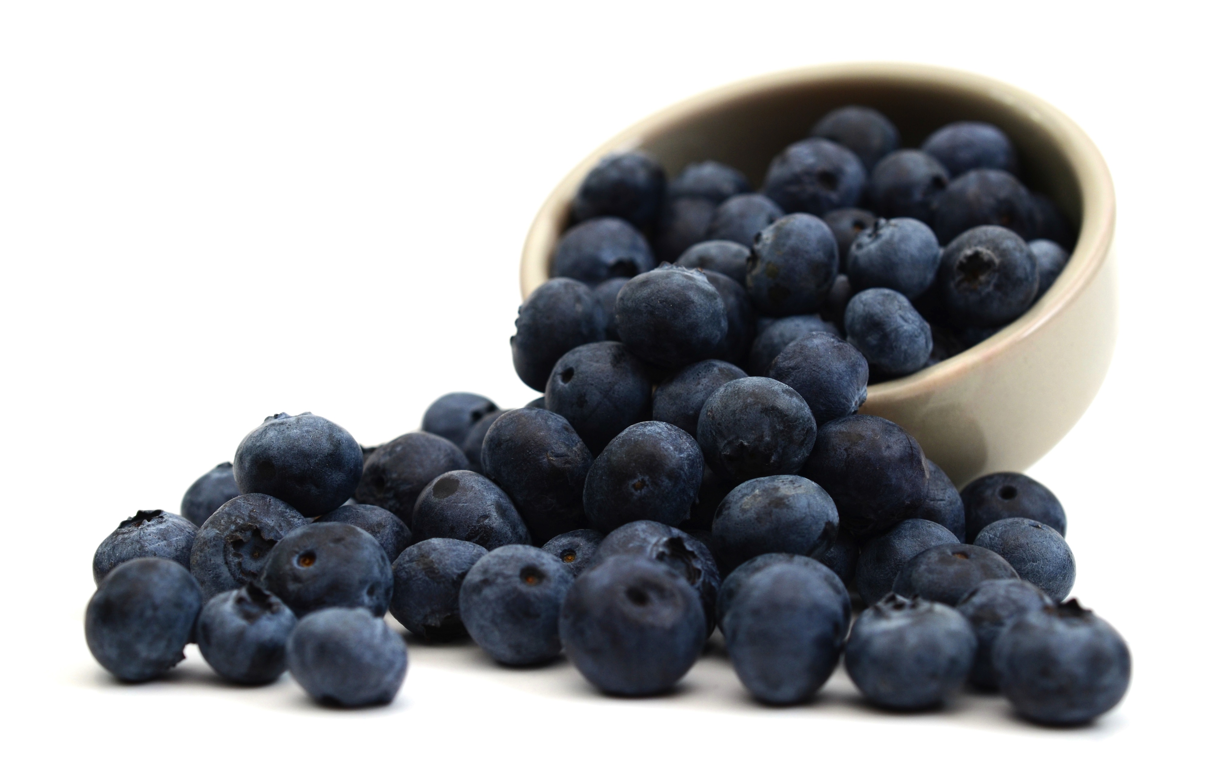 Agronometrics en Gráficos: Los arándanos destacan entre exportaciones ...