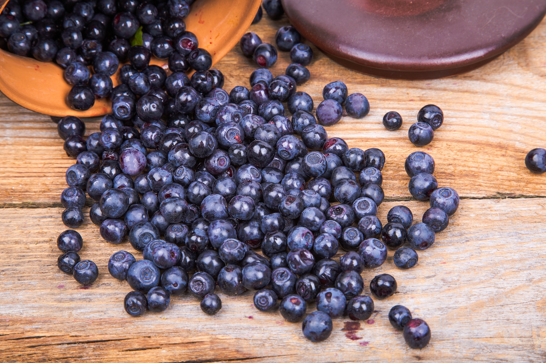 Peru ranked as main blueberry supplier to U.S. in 2021 - Blueberry ...