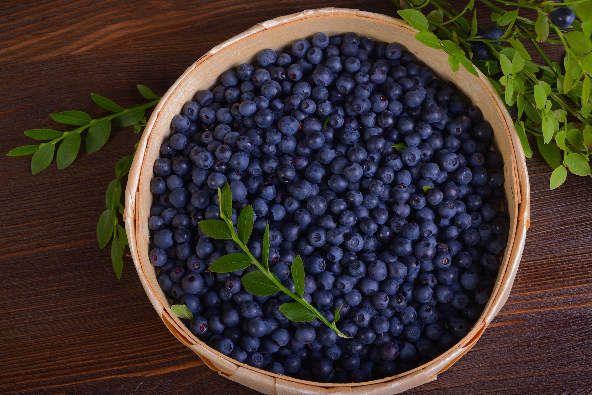 Nurturing the brain, blueberries - Blueberry International Organization