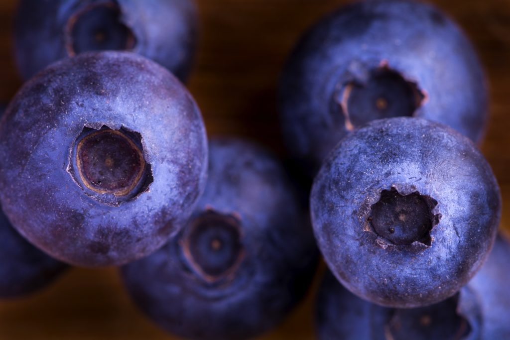 Jumbo blueberry to boost NZ industry by $8m in two years - Blueberry ...