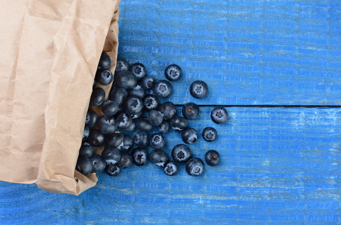 OZblu launches blueberry academy - Blueberry International Organization