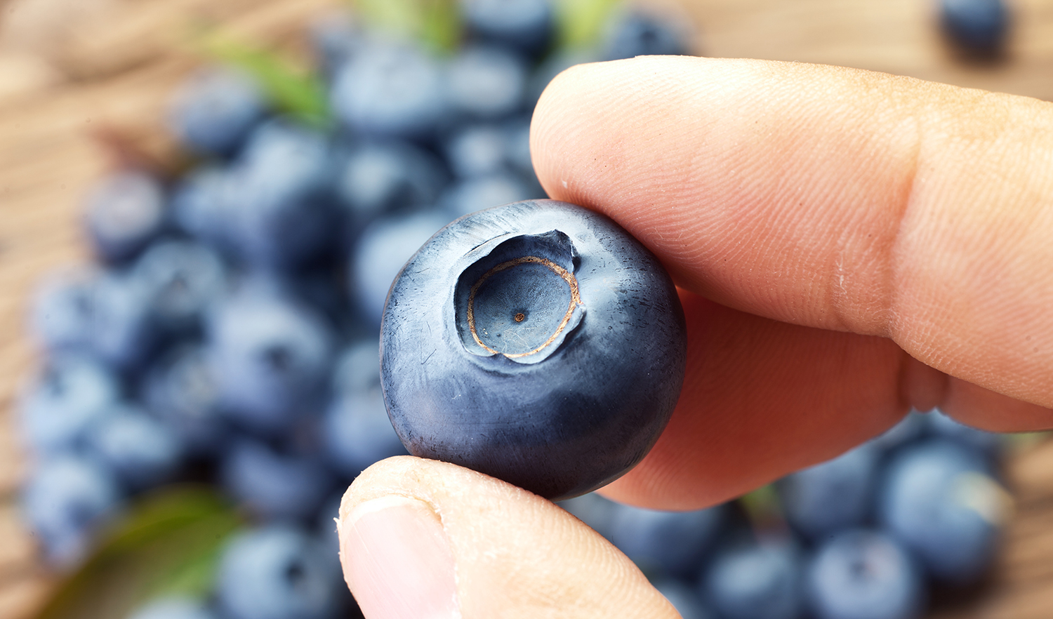 Perú seguirá este año en primer lugar como exportador mundial de ...