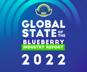 Blueberry International Organization