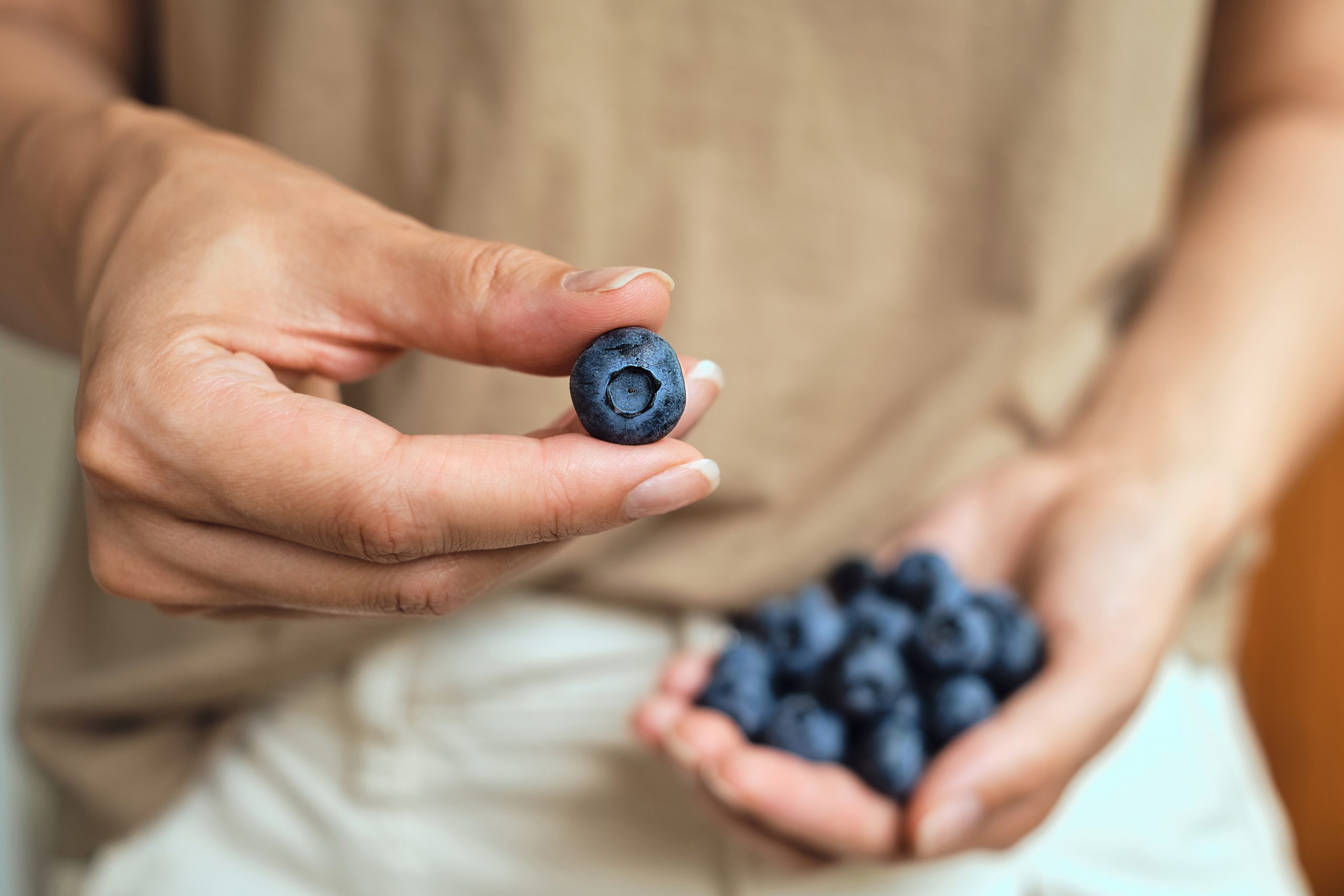 Costa Group grows record-setting blueberry