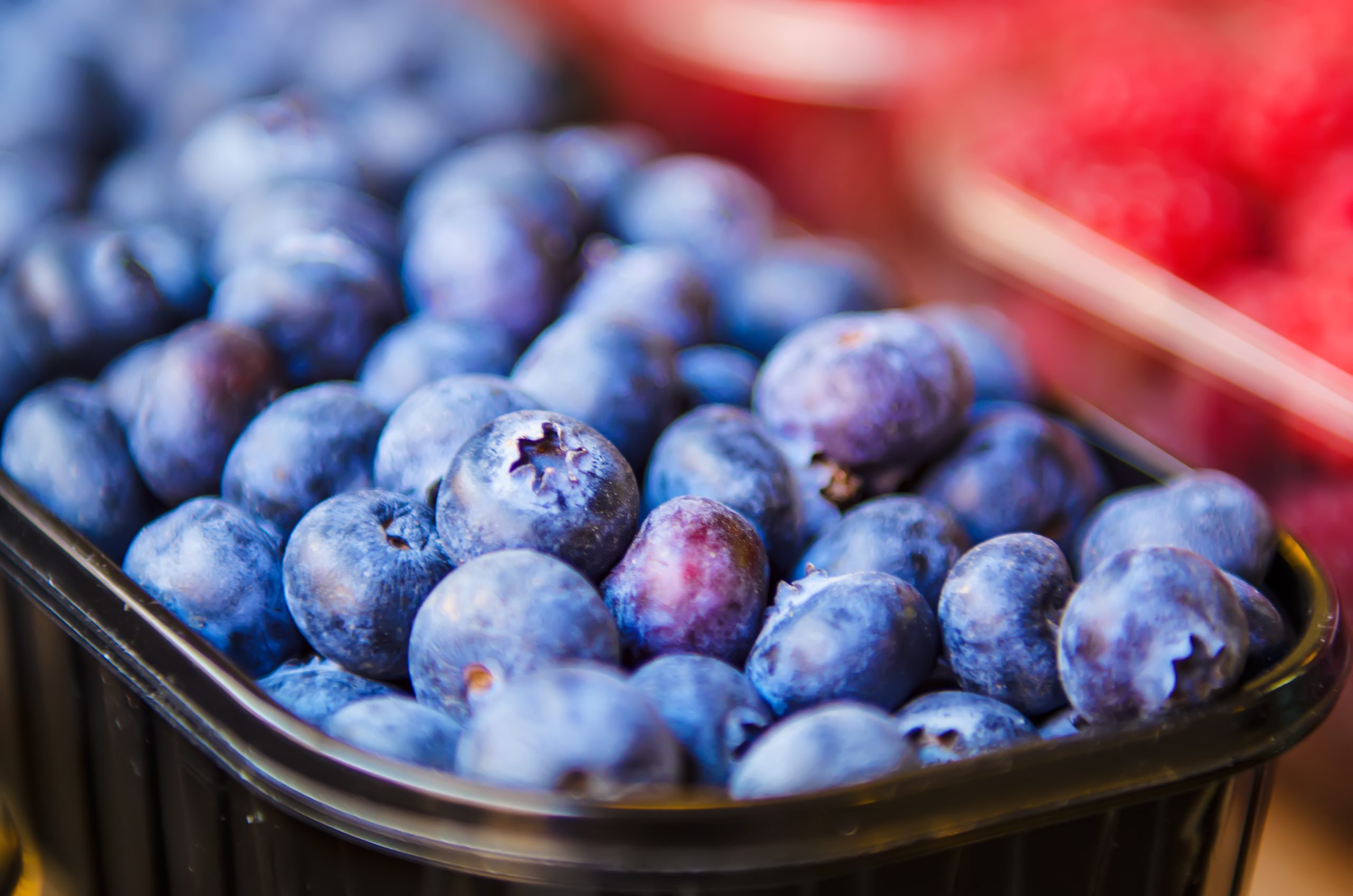 Hortifrut Ecuador ships first blueberries of the season to the U.S.