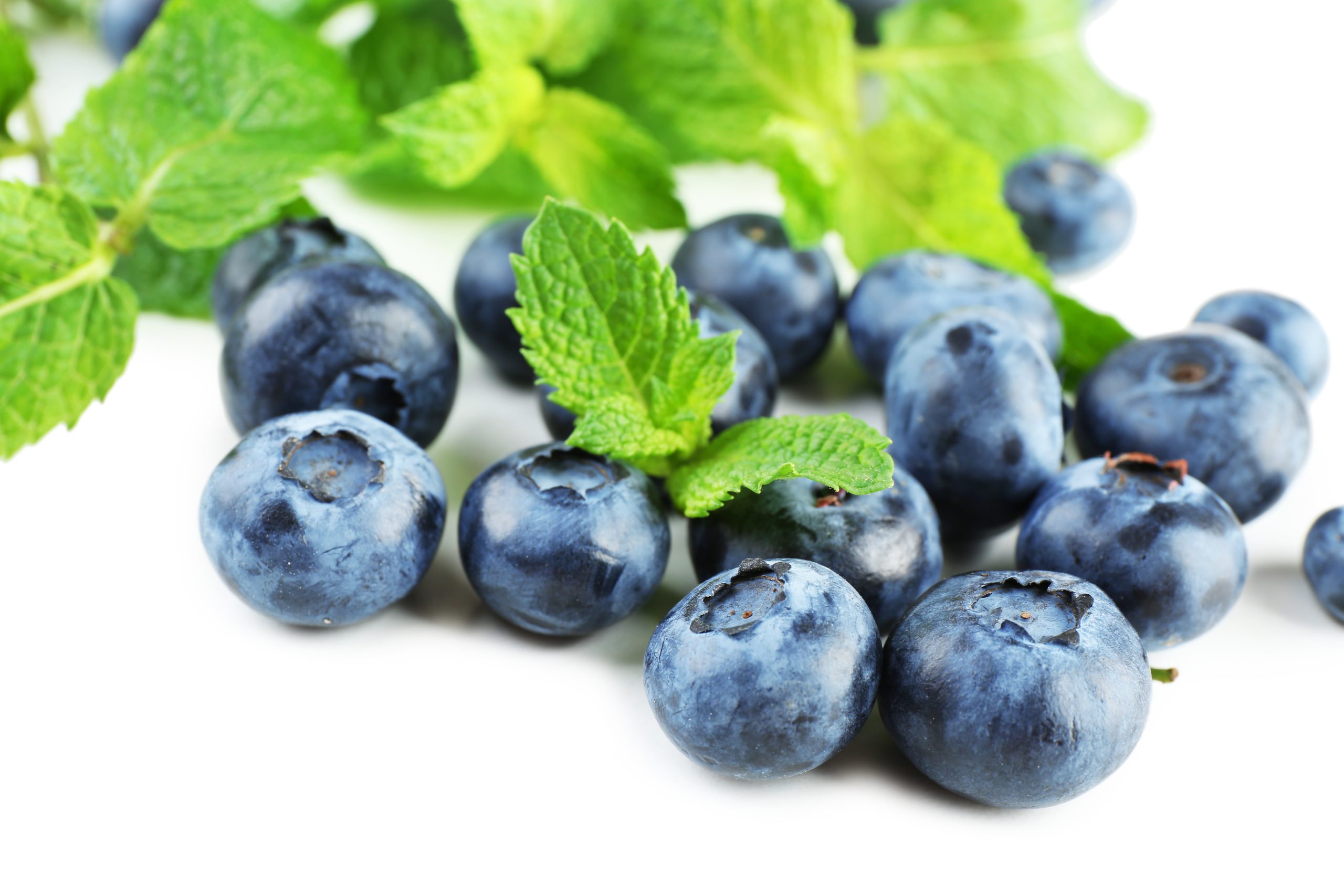 The Moroccan blueberry industry, Emergence to global dominance