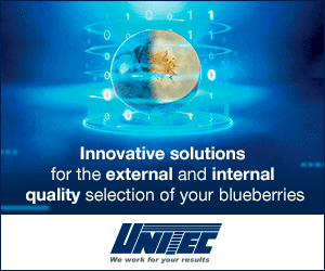 About Us - Blueberry International Organization