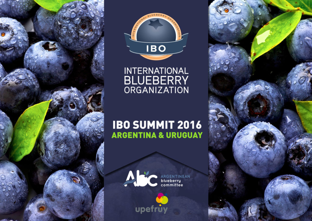 Library - Blueberry International Organization