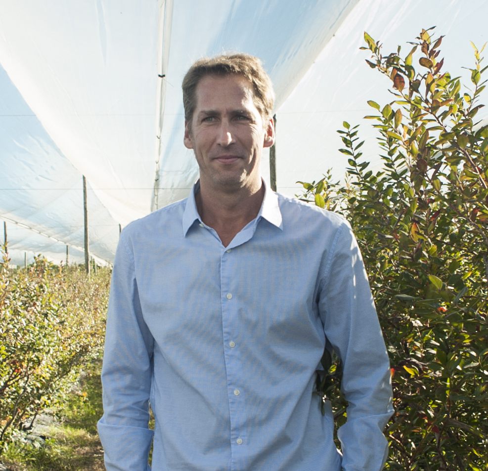 The conversion of Argentine blueberries to a sustainable, organic and ...