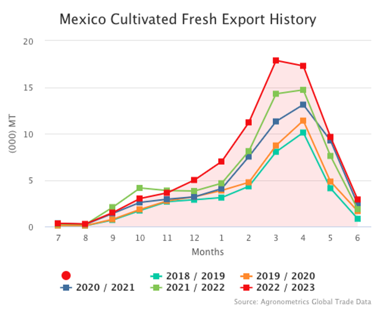 The Mexican Blueberry Odyssey