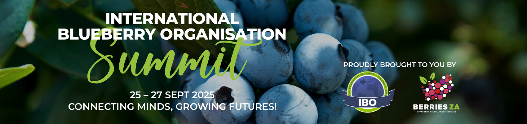 IBO Summit 2025 (South Africa) - International Blueberry Organization