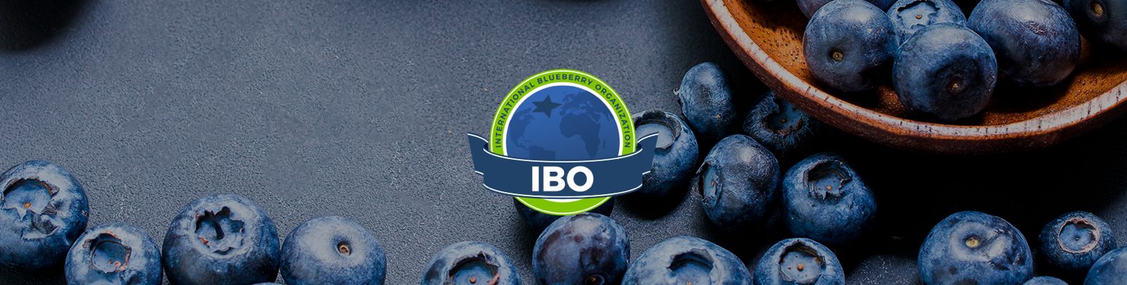 IBO launches new website with exclusive industry news and interviews ...