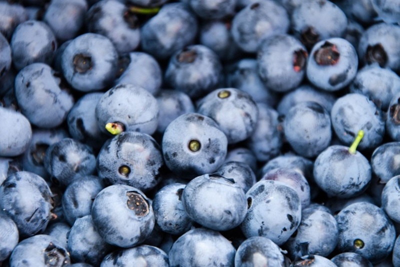 The premiumization of Poland - International Blueberry Organization