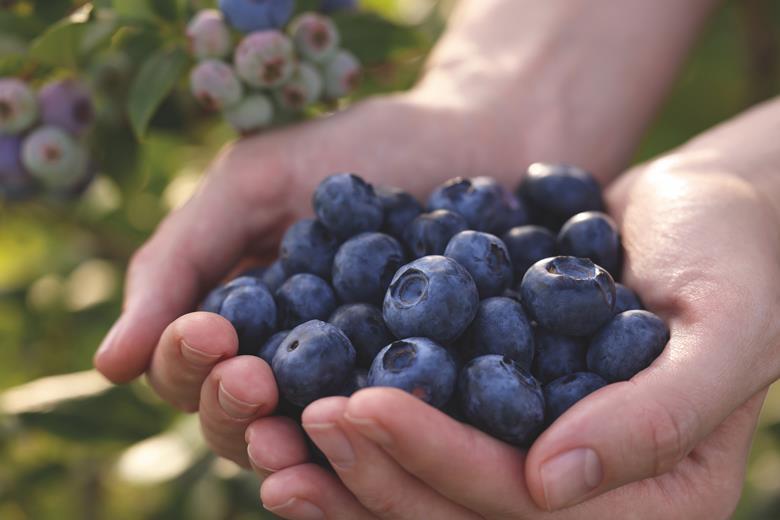 NABC Applauds the Approval of the 2026 Farm, Food and National Security ...