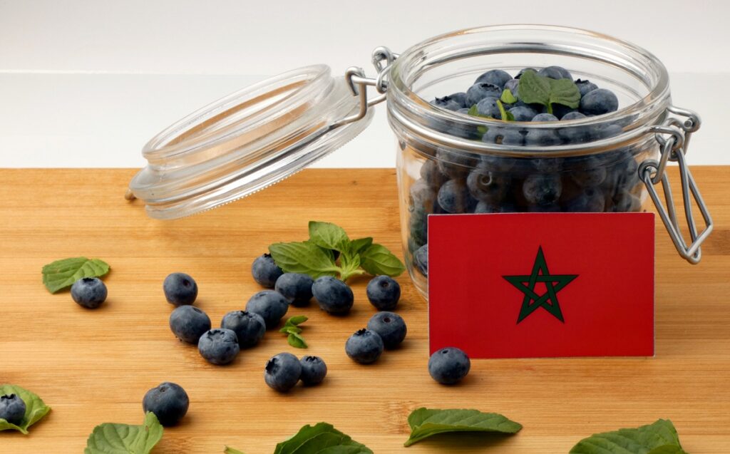 Africa’s berry potential takes the spotlight at the Morocco Berry ...