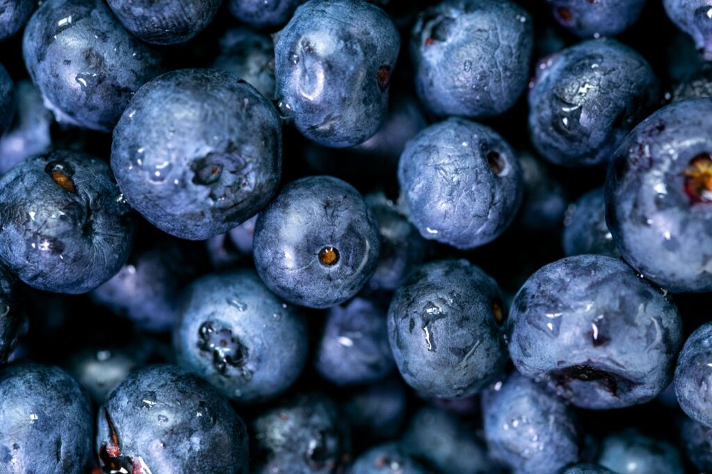 Berry early days: Indian blueberry sector tests its roots ...